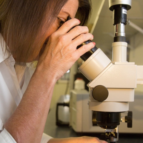 RING Container Technologies